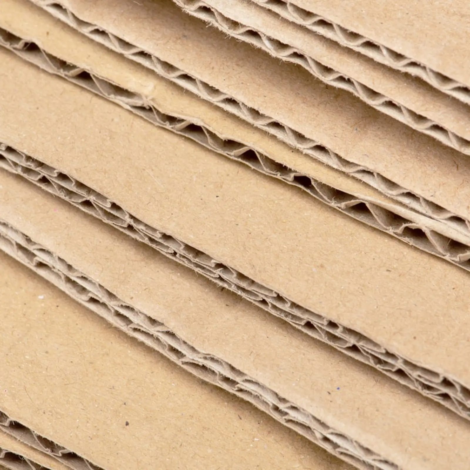 Loop Recycling | Waste Management Solutions in Central Scotland