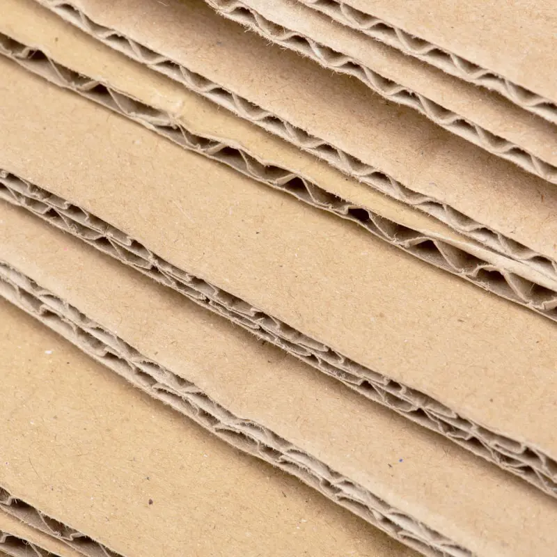 Loop Recycling | Waste Management Solutions in Central Scotland